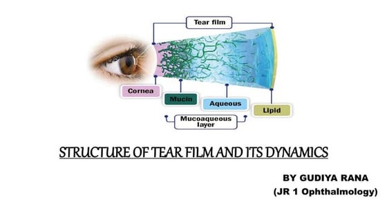 Physiology of tear film & it’s drainage | PPTX