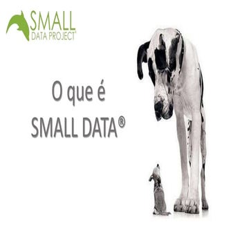 Small Data Project - Apresentação 1 | PDF