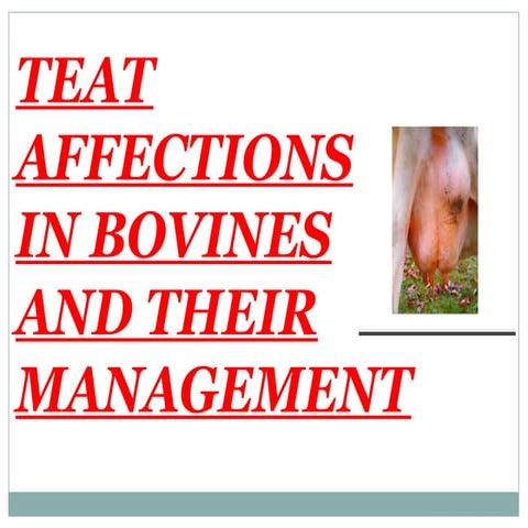 Teat affections in bovines and their management.pptx