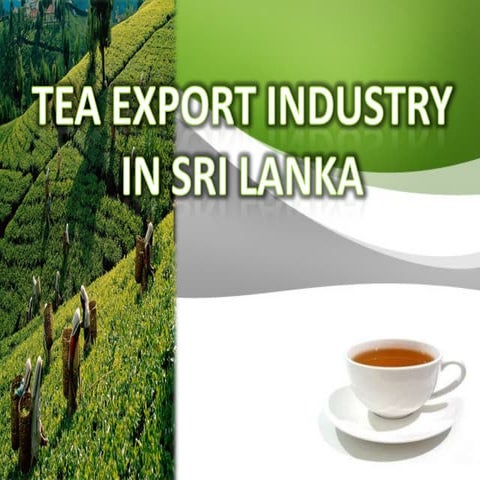 Tea Export Industry in Sri Lanka | PPT