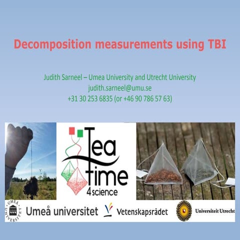 Tea time4scienceTERN | PPTX