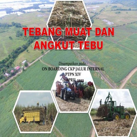 TEBANG MUAT ANGKUT TANAMAN TEBU DI PTPN.pptx