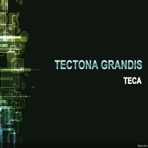 Teca | PPTX
