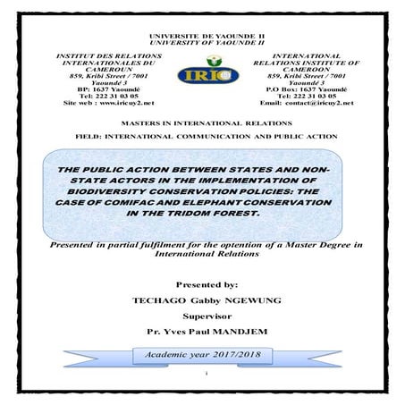 Techago gabby Ngewung- THE PUBLIC ACTION BETWEEN STATES AND NON-STATE ...