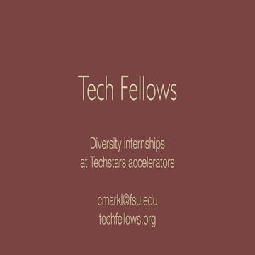 Tech fellows | PPT