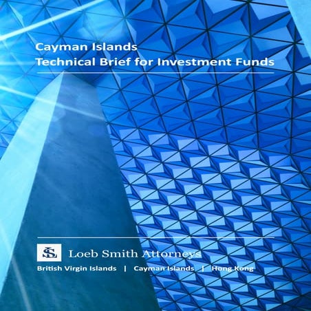 Technical Brief for Investment Funds | PDF