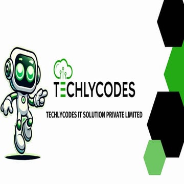 NetSuite ERP Implementation Services- TechlyCodes-Business Presentation .pdf