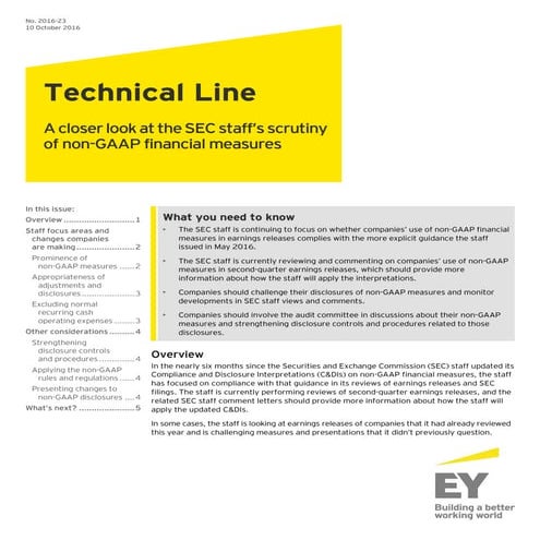 EY Technical Line - update on non-GAAP financial measures | PDF