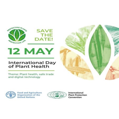 Plant health, safe trade and digital technology. | PDF