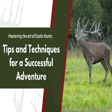 Bowhunting Habitat and Tracking Services | PDF
