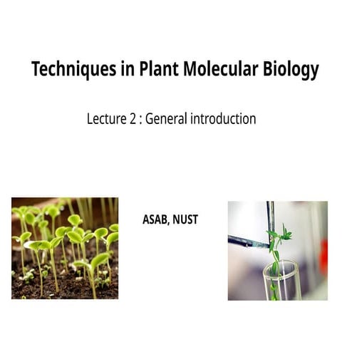Techniques in Plant Molecular Biology Lecture 2 | PPTX