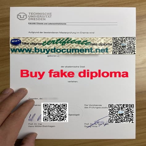TUD diploma | PDF