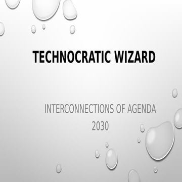 TECHNOCRATIC WIZARD.pdf