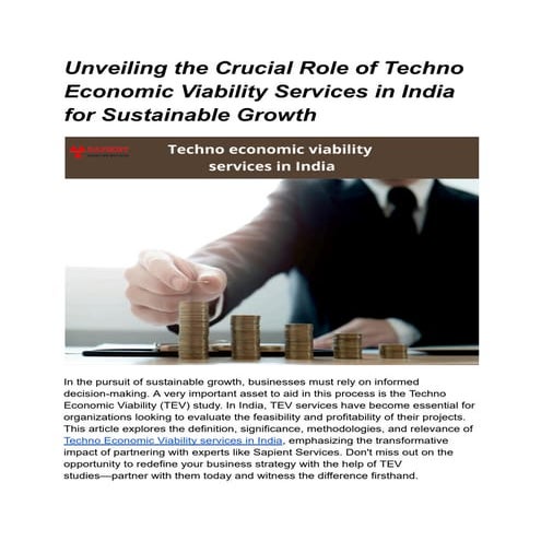 Techno Economic Viability Services in India - Google Docs.pdf