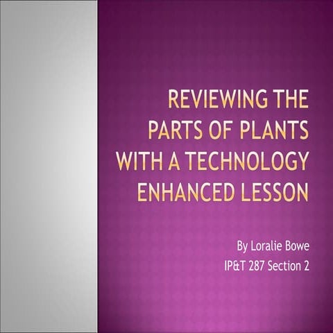 Plant Review Technology Lesson | PPT