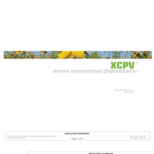 Technology Executive Summary Pdf