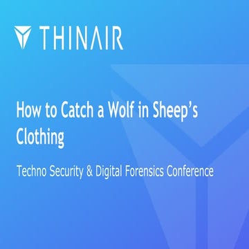 How to Catch a Wolf in Sheep's Clothing | PDF