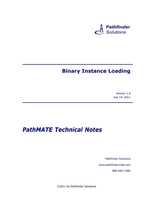 Binary Instance Loading Pdf 5992