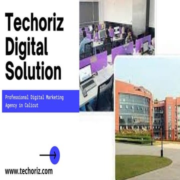 Techoriz digital solution digital marketing agency in calicut (1) | PDF