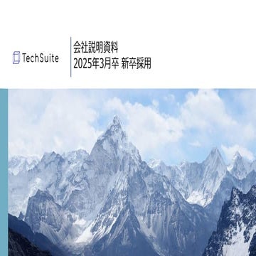 TechSuite Co., Ltd. - Company Profile and Recruitment Materials for ...