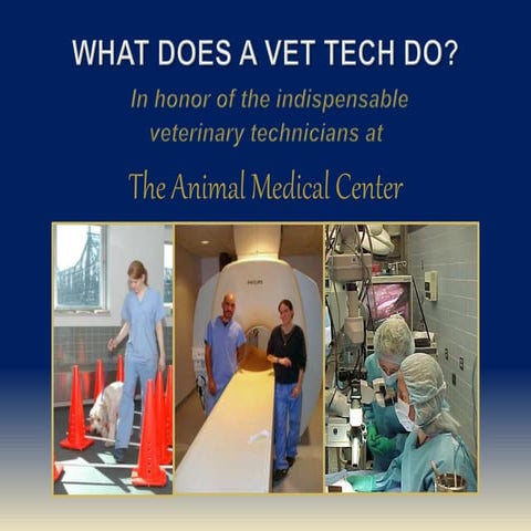 What Does a Vet Tech Do? | PPTX