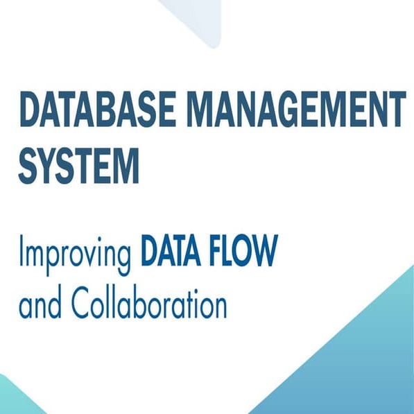 Robust Database Management System | PPT