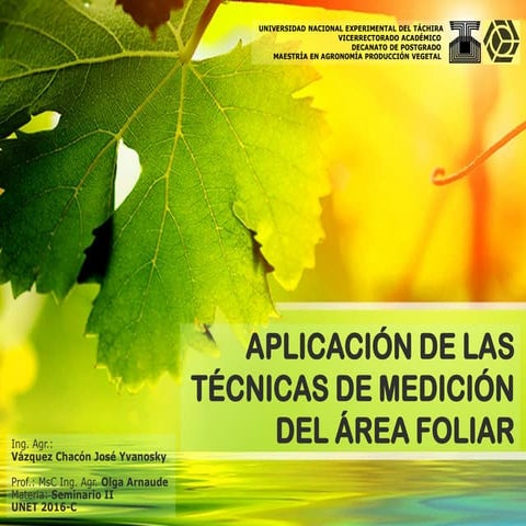 Aplicación de las Técnicas de Medición del Área Foliar | PDF