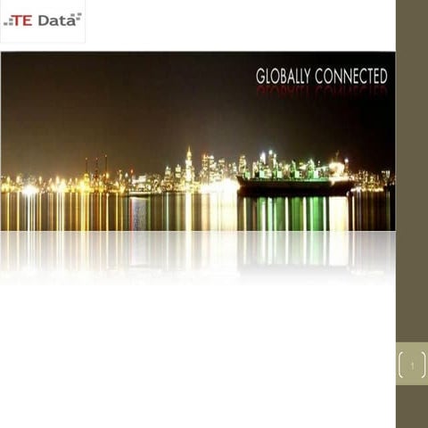 TE Data's Global Data Service | PDF | Internet | Computing