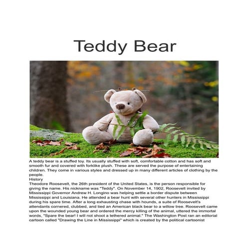 Teddy Bear | PDF