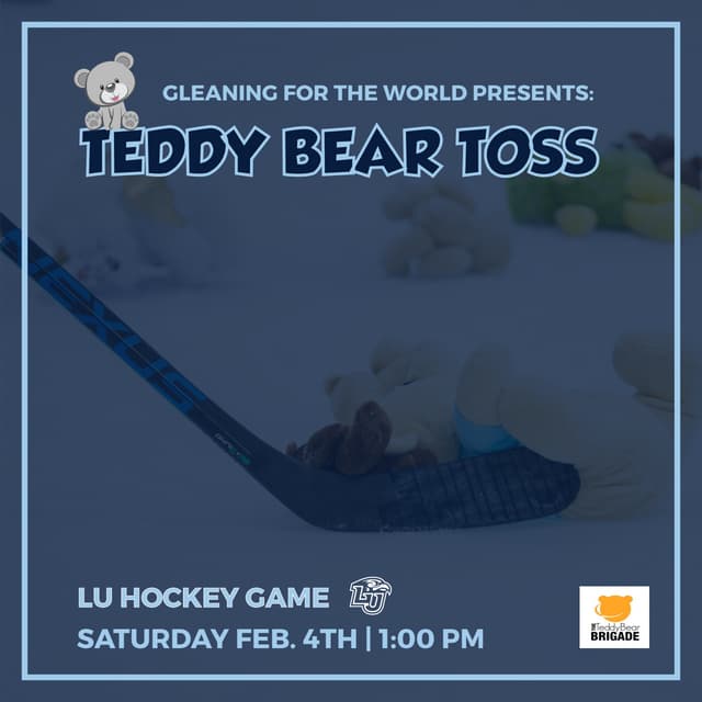 teddy bear toss.pdf