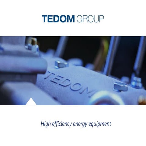 TEDOM GROUP | PDF