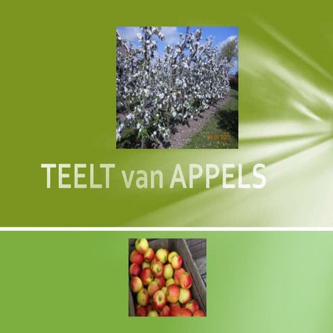Teelt van appels.pptx