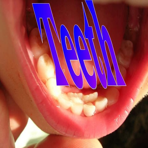 10 Teeth | PPT