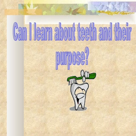 Teeth | PPT