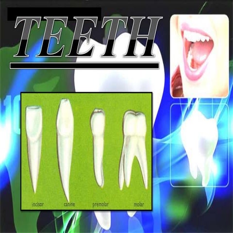 Teeth | PPT