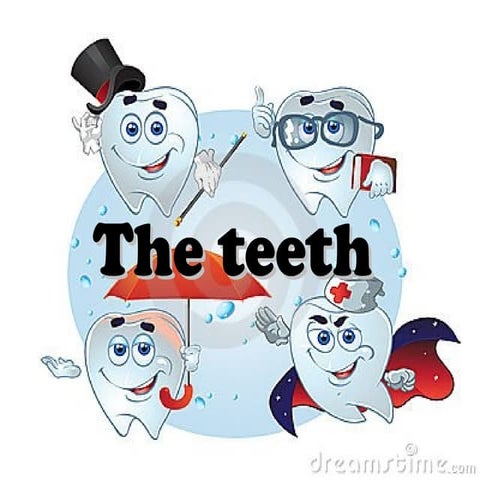 The Teeth | PPT