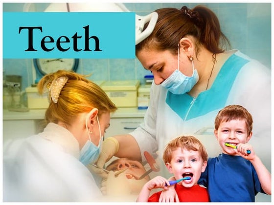 Human teeth | PPT | Dental Health | Diseases and Conditions