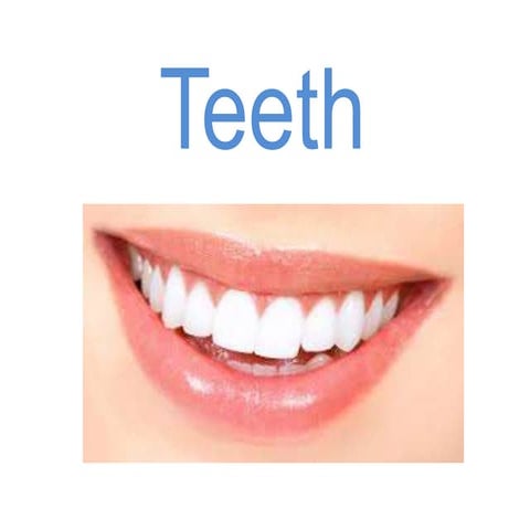 Teeth | PPTX