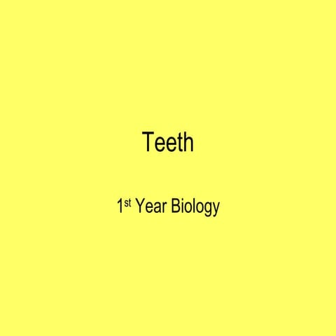 Teeth | PPT