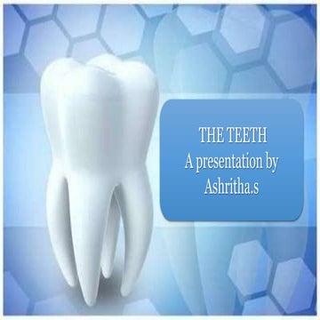 Teeth | PPTX