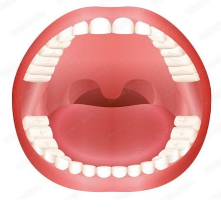 dental view for the projects required by the students | DOCX