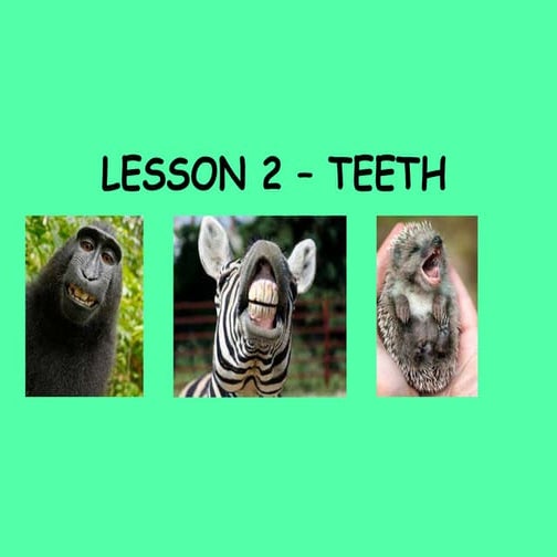 Teeth-Lesson-2-Read-Only.pptx