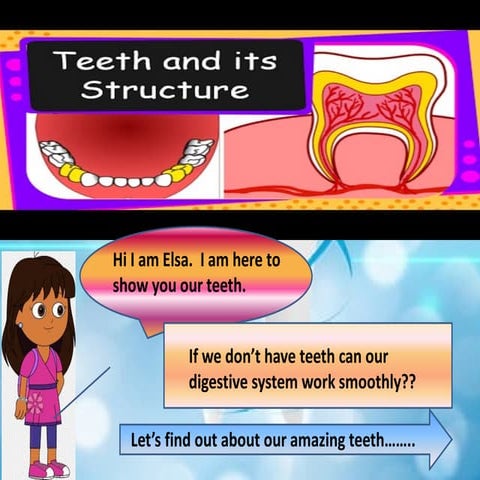 Teeth and digestive system | PDF