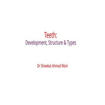 Dentition in Mammals | PPTX