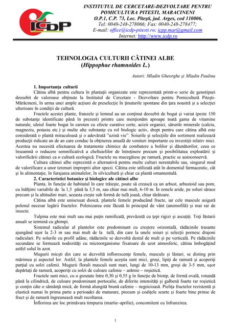 ACG e-Brochure | PDF