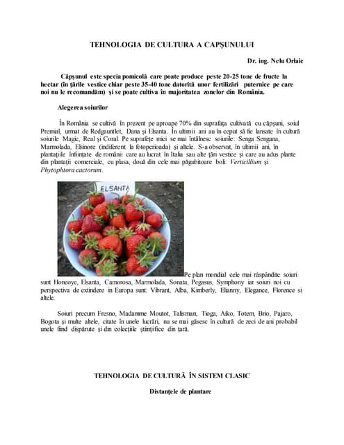 Inmultire lamai prin butasire | PDF