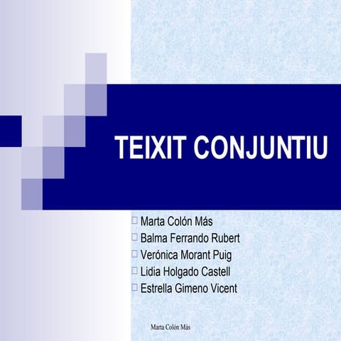 Teixit Conjuntiu | PPT