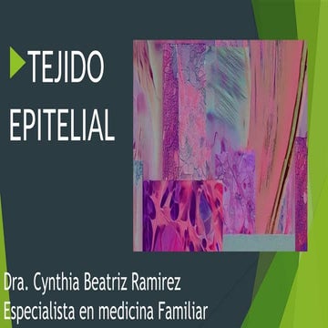 -Tejido-epitelial-Histologia clase 3.pptx