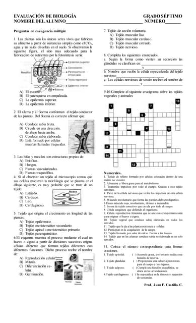 Examen ciencias Cèlulas, Reinos Seres Vivos quinto | PDF