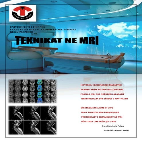 Teknikat ne IRM | DOCX